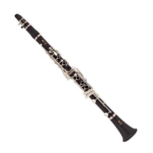 A Complete List Of Woodwind Instruments In The Orchestra | Ted's List
