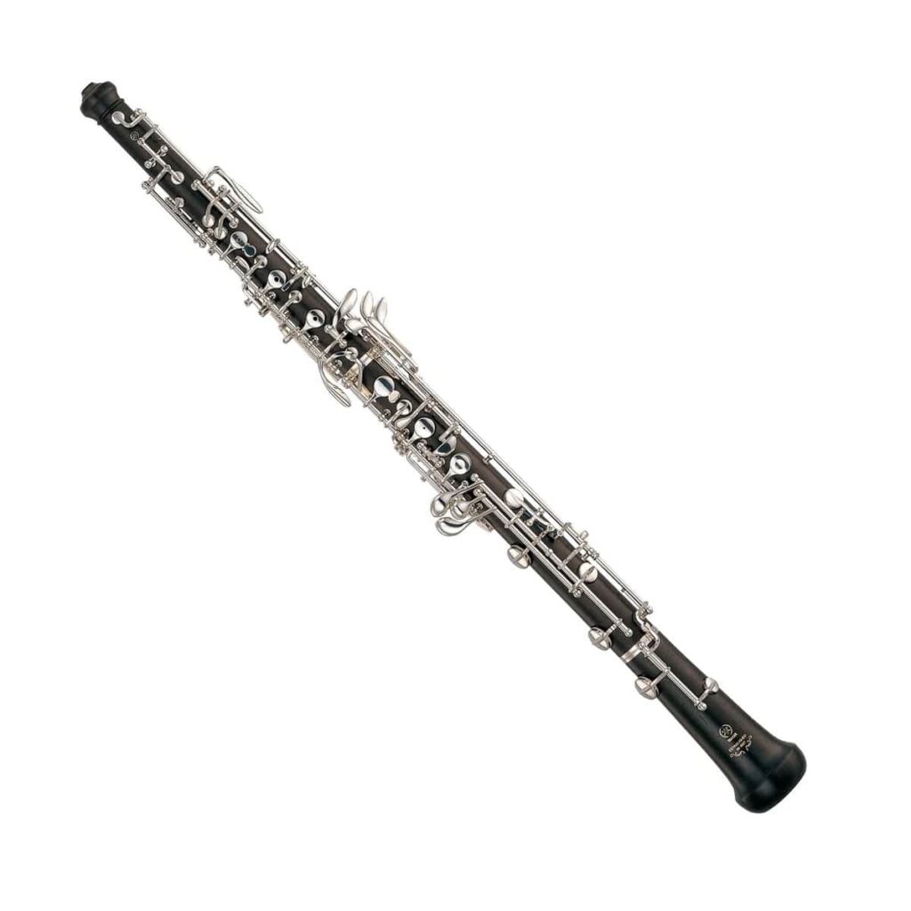 Bassoon Vs Oboe: Which Woodwind Instrument Reigns Supreme? | Ted's List