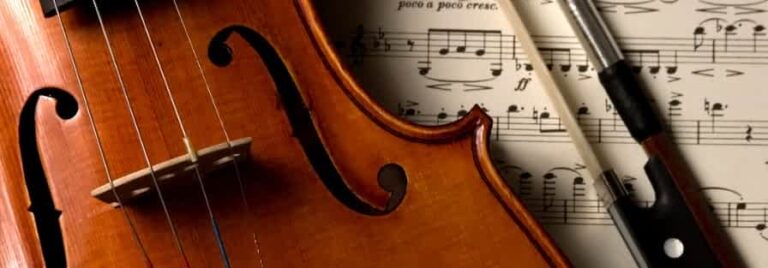 The Ultimate Guide To The Best Violin Brands | Ted's List