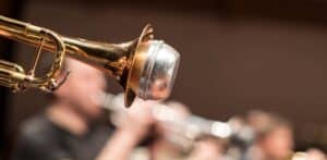 What Are The Different Trumpet Mute Types? | Ted's List