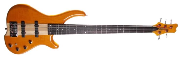Different Types Of Bass Guitars | Ted's List