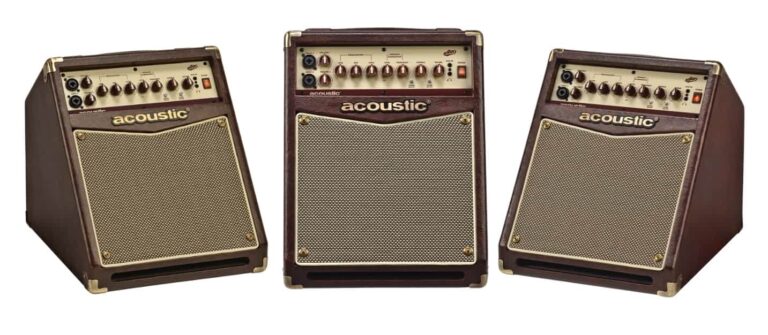 Best Amps For Acoustic Guitar (2025) | Ted's List