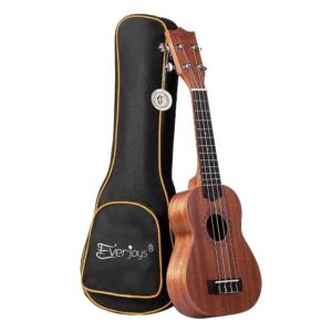 Top 15 Best Ukulele For A Beginner (2024) | Ted's List