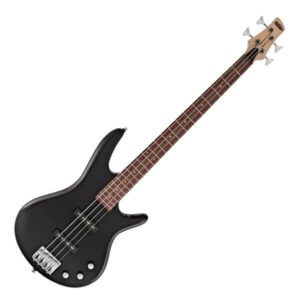 Different Types Of Bass Guitars | Ted's List