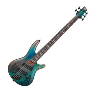 Different Types Of Bass Guitars | Ted's List