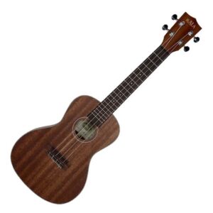 What Does Ukulele Mean? Uncovering Hawaii's Iconic Instrument | Ted's List