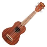 How Much Does A Ukulele Cost? | Ted's List