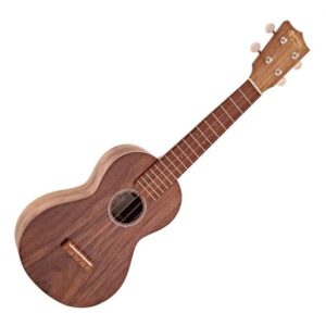 How Much Does A Ukulele Cost? | Ted's List