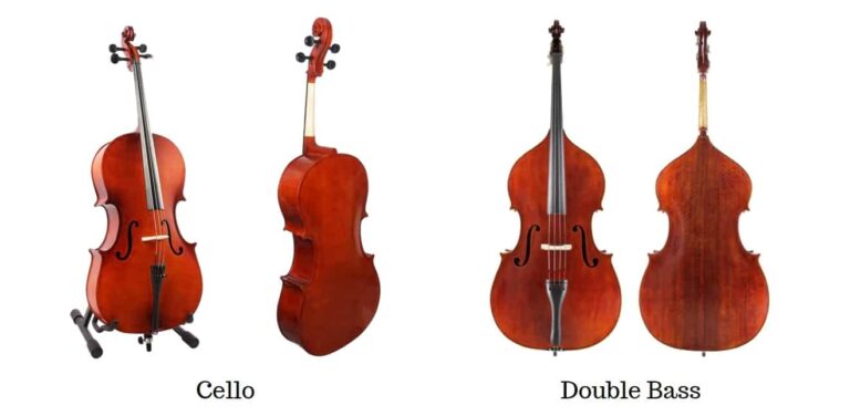Cello Vs Bass: The Battle Of The Lower String Instruments | Ted's List