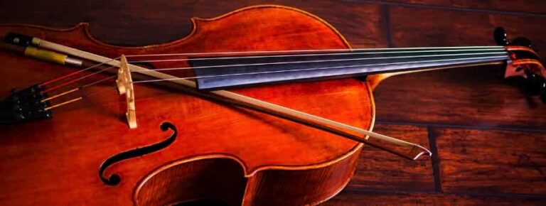 Cello Price Range - What Can You Get For Your Money? | Ted's List