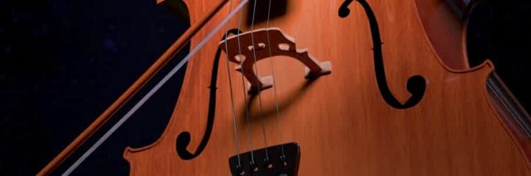 Cello Sizes - What Size Cello Do I Need? | Ted's List