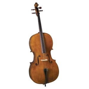 The Fascinating History Of The Cello | Ted's List