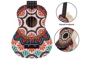 How Much Does A Ukulele Cost? | Ted's List