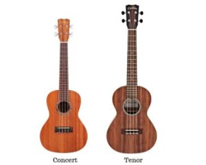 Tenor Ukulele Vs Concert - What Is The Difference? | Ted's List