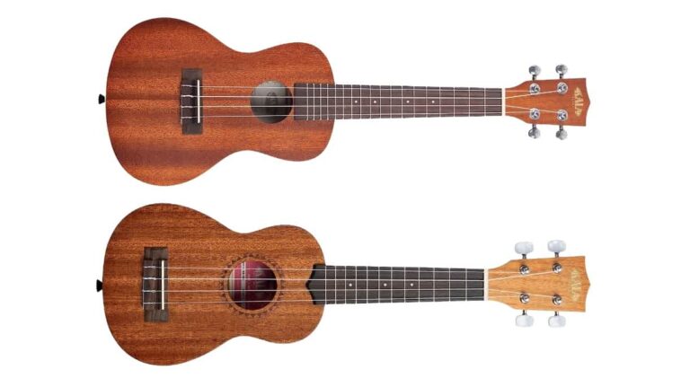 The Difference Between Concert And Soprano Ukulele | Ted's List