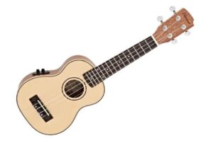 How Much Does A Ukulele Cost? | Ted's List