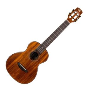 How Much Does A Ukulele Cost? | Ted's List