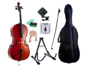 Cello Price Range - What Can You Get For Your Money? | Ted's List