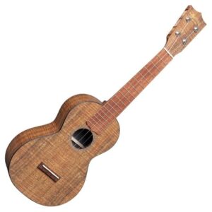How Much Does A Ukulele Cost? | Ted's List
