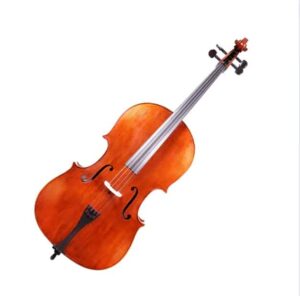 Cello Price Range - What Can You Get For Your Money? | Ted's List