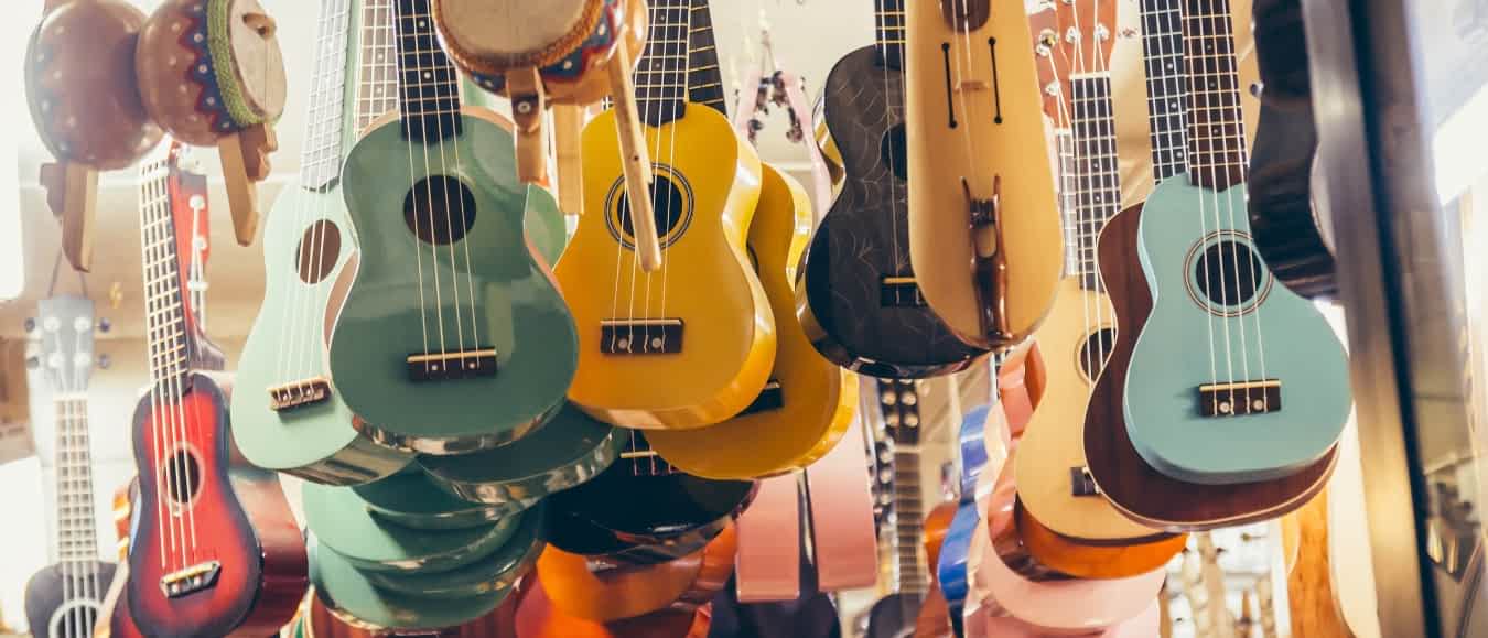 How Much Does A Ukulele Cost? | Ted's List