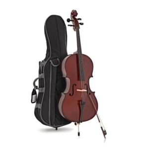 Cello Sizes - What Size Cello Do I Need? | Ted's List