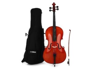 Cello Price Range - What Can You Get For Your Money? | Ted's List