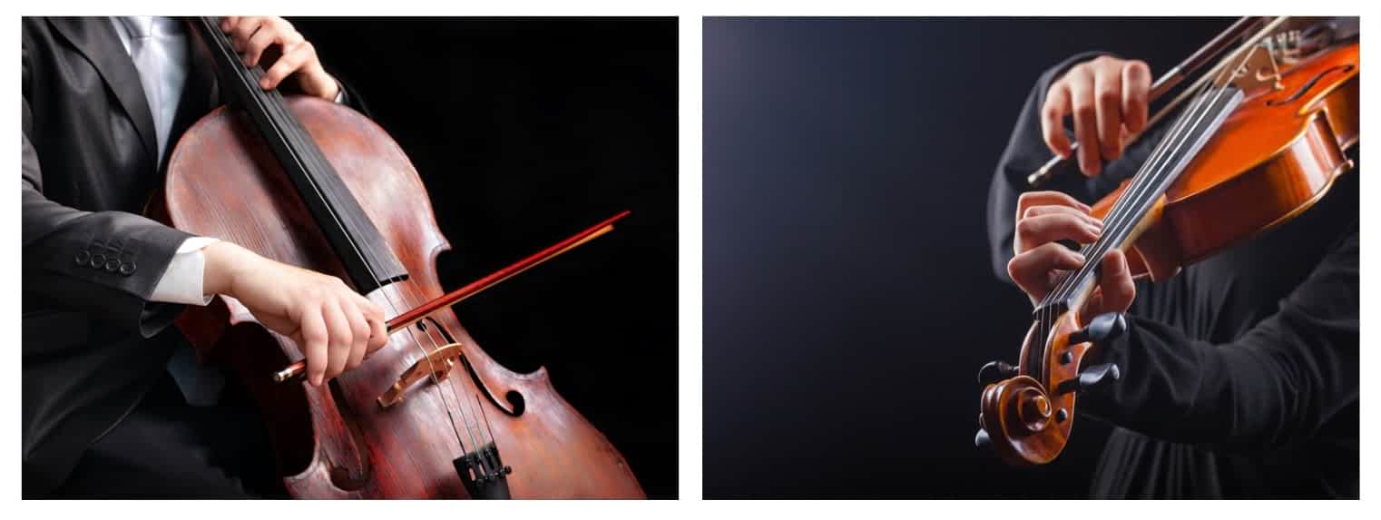Cello Vs Violin | Ted's List