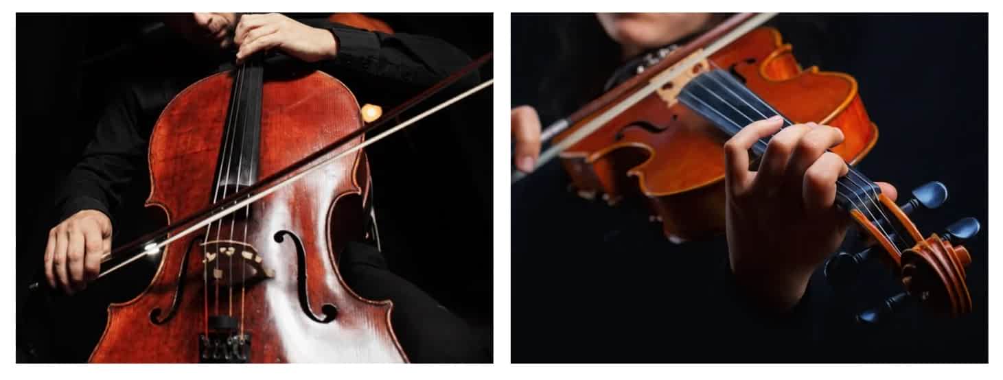 Cello Vs Violin | Ted's List