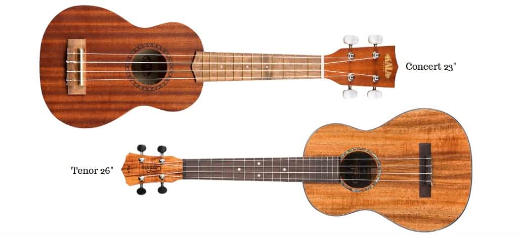 Tenor Ukulele Vs Concert - What Is The Difference? | Ted's List