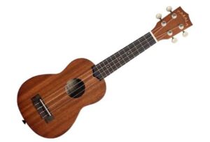 How Much Does A Ukulele Cost? | Ted's List