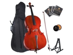 Cello Price Range - What Can You Get For Your Money? | Ted's List