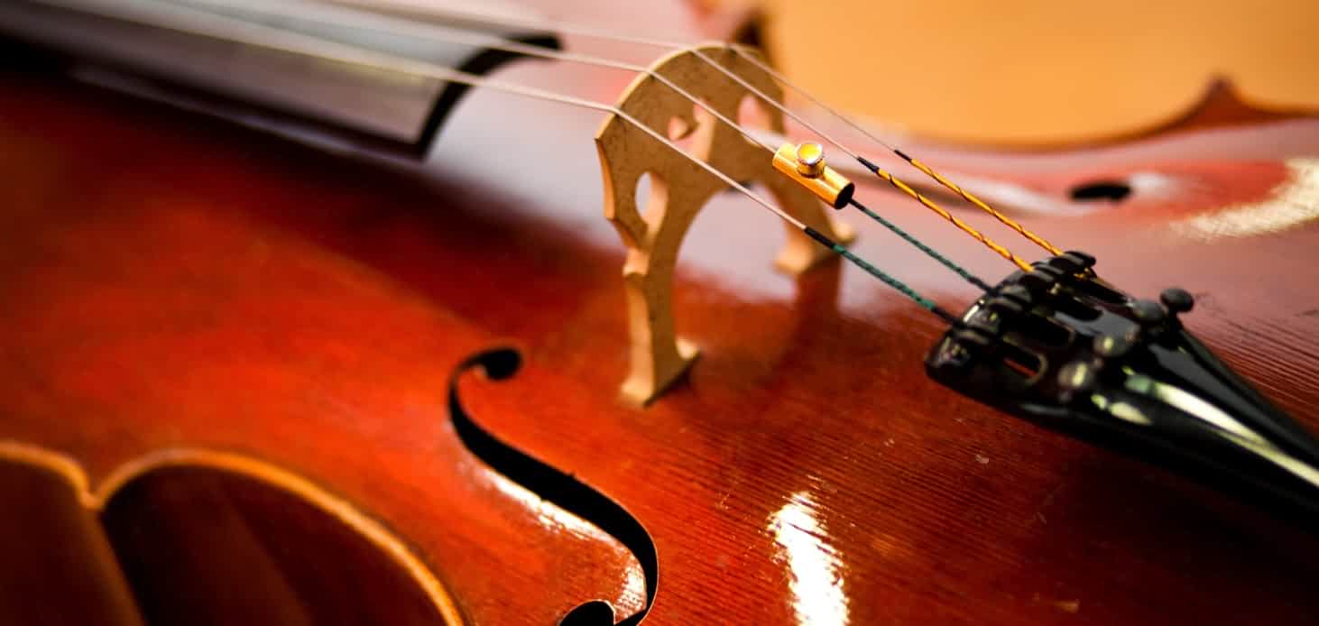 Cello Strings Tuning: The Ultimate Guide | Ted's List