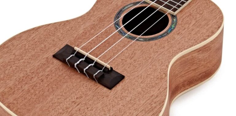 The Difference Between Concert And Soprano Ukulele | Ted's List
