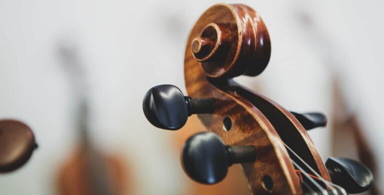 How Many Strings Does A Fiddle Have? Explained By A Music Expert | Ted ...