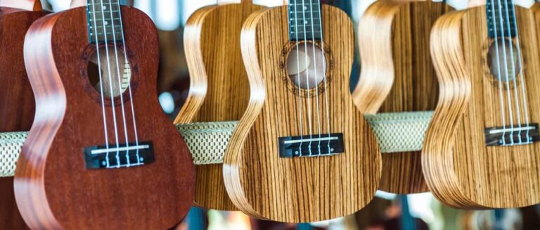 How Much Does A Ukulele Cost? | Ted's List