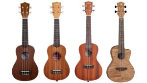 The Difference Between Concert And Soprano Ukulele | Ted's List