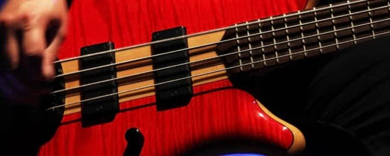Bass Guitar Types - The Ultimate Guide | Ted's List