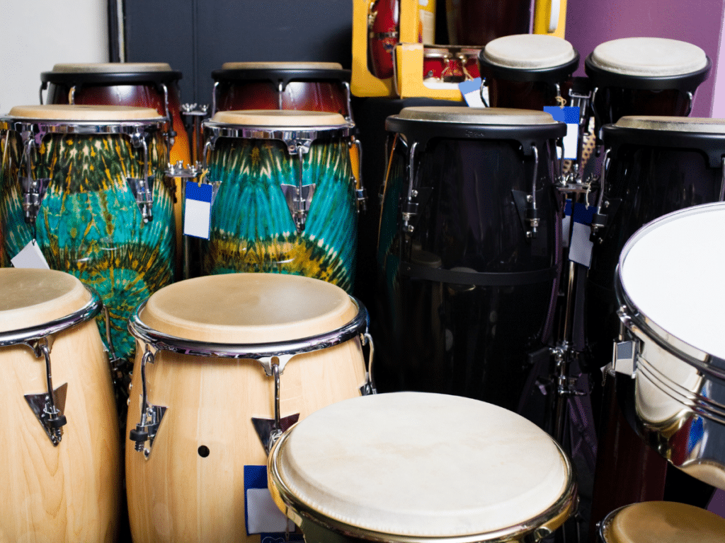 The Complete List Of Percussion Instruments | Ted's List