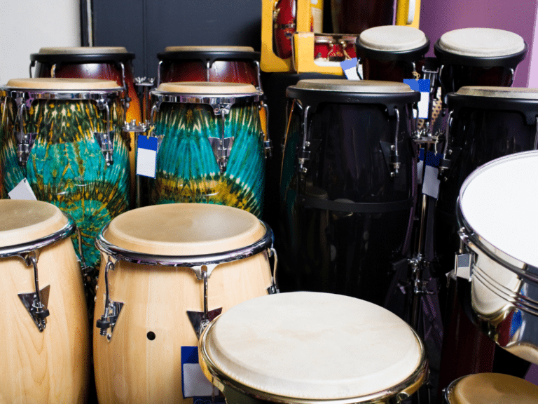 The Complete List Of Percussion Instruments | Ted's List