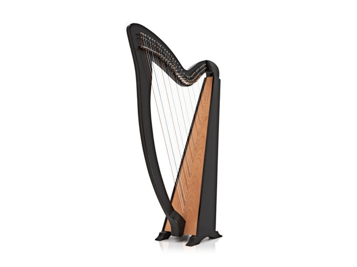 What Is The Hardest Instrument To Play? The Answer Might Surprise You ...