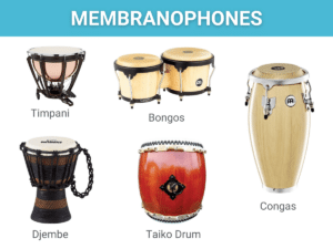 The Ultimate Percussion Instruments List | Ted's List