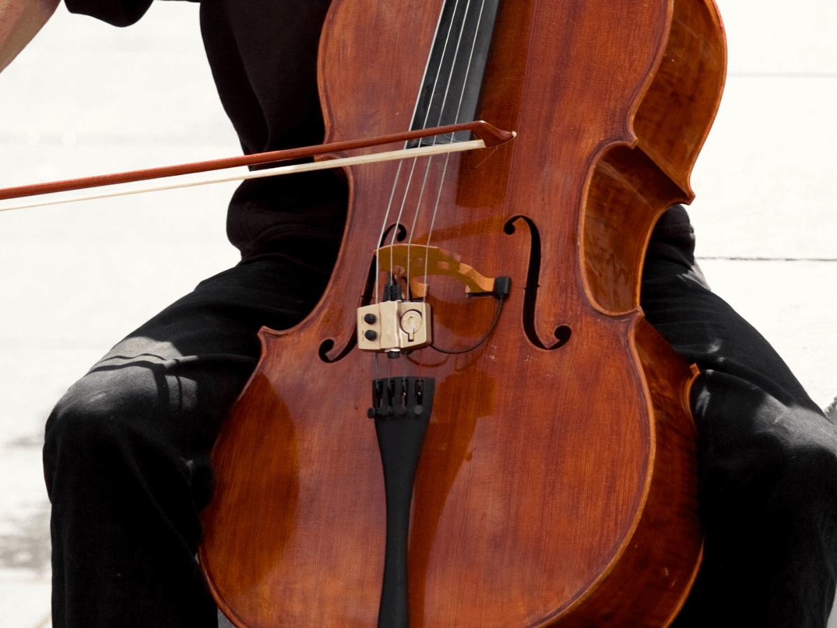 The Ultimate Guide To Cello Tuning: A Step-by-Step Guide For Beginners ...