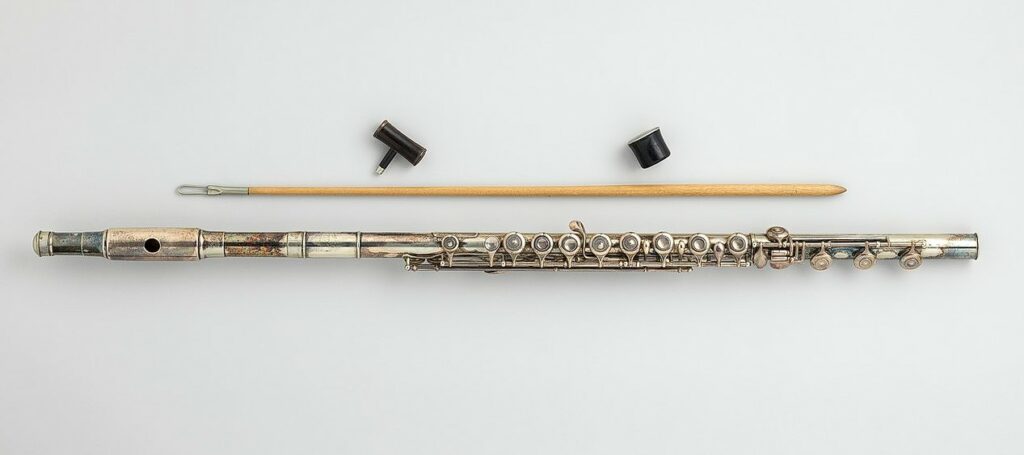 We Reveal The Best Flute For Professional (2025) | Ted's List