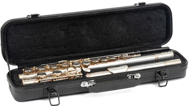 We Reveal The Best Flute For Professional (2025) | Ted's List