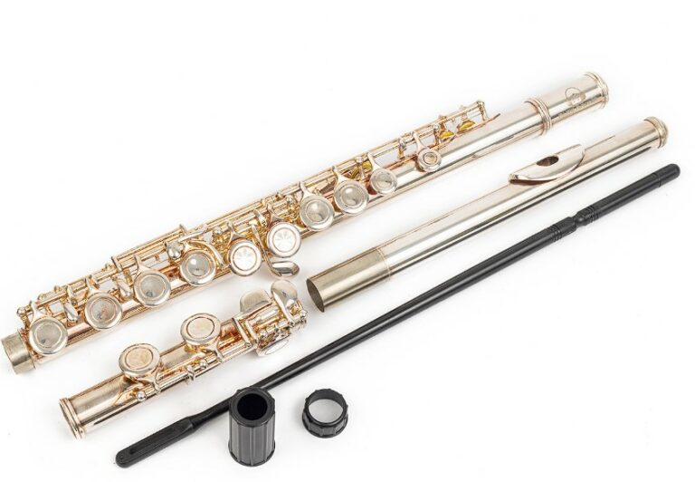 We Reveal The Best Flute For Professional (2025) | Ted's List