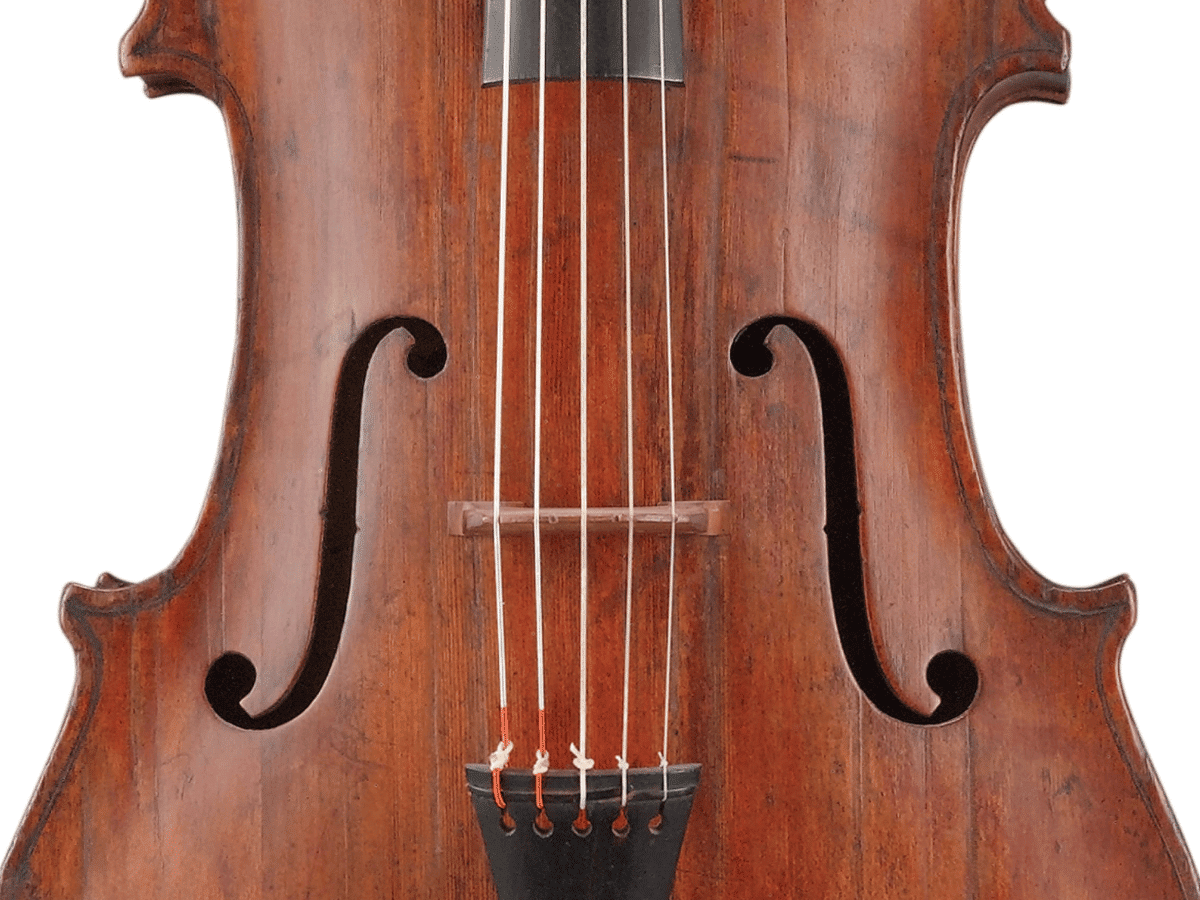 How Many Strings Does A Cello Have? | Ted's List