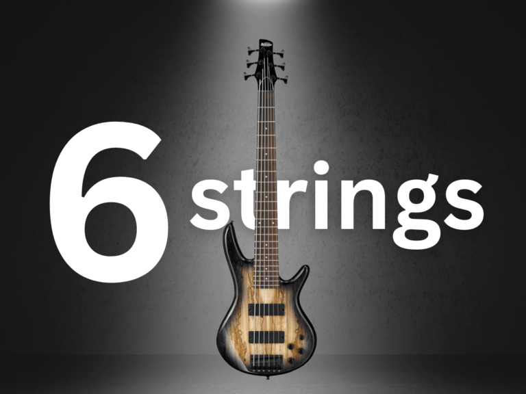 How Many Strings Does A Bass Have? | Ted's List
