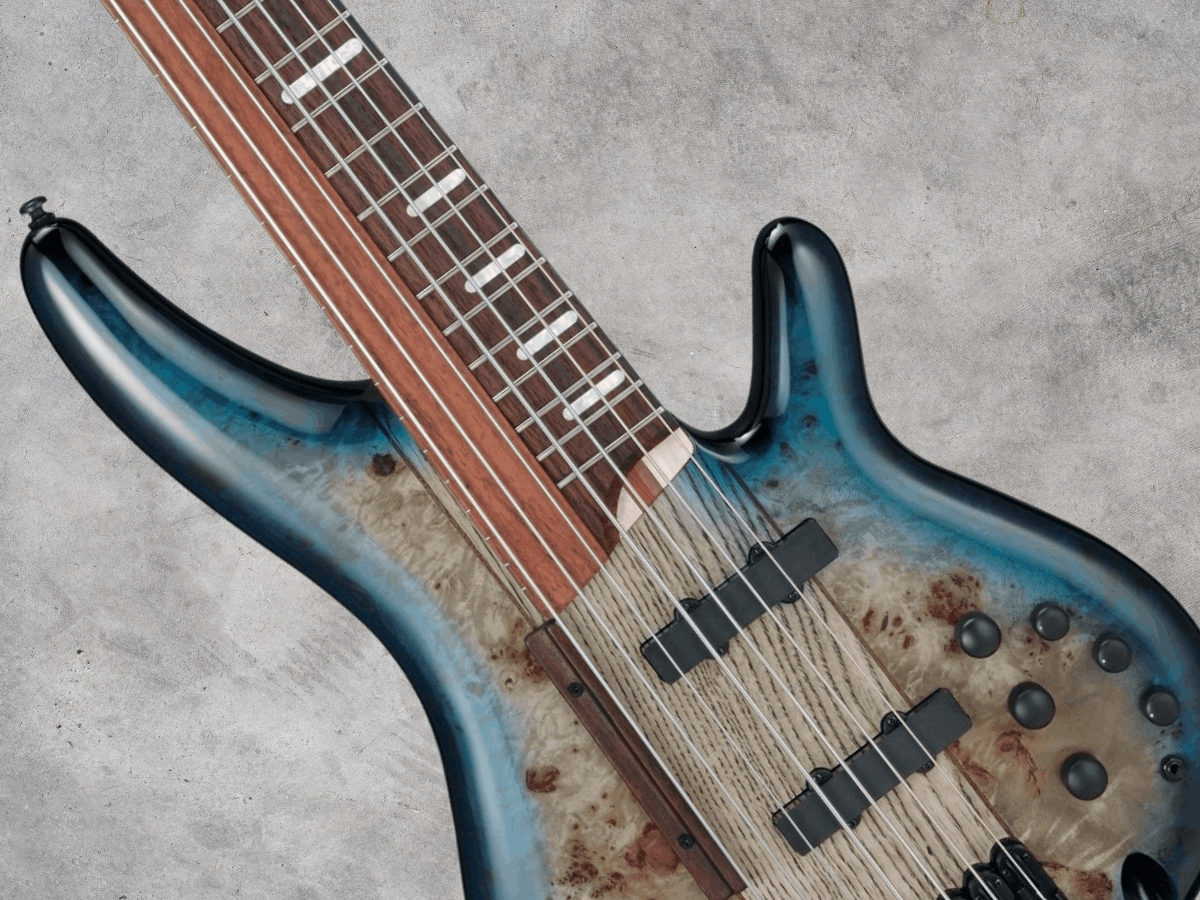 How Many Strings Does A Bass Have? | Ted's List