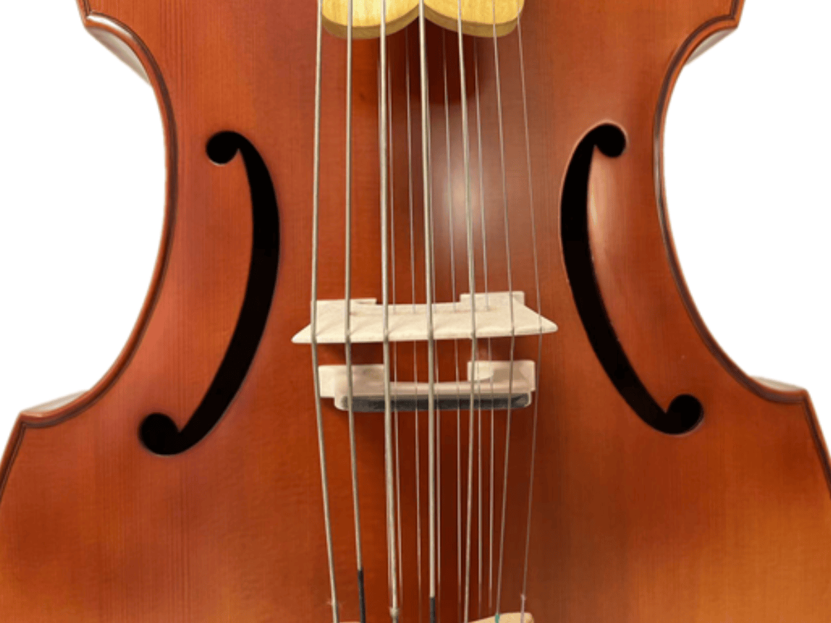 How Many Strings Does A Cello Have? | Ted's List How Many Strings Does A Cello Have? | Ted's List